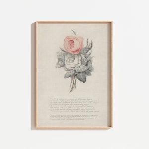 Vintage Botanical Drawing | Antique Rustic Rose Painting | Floral Plant ...