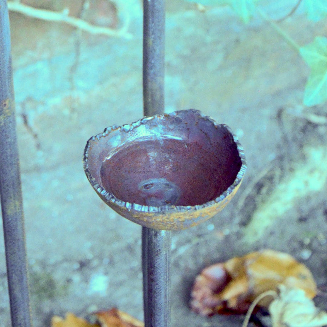 Metal Rain Catcher, Bee Water Station, Bird Feeder, Butterfly Puddler ...