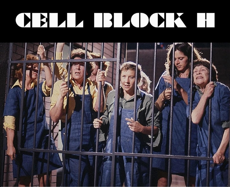 Prisoner Cell Block H All 692 Episodes With Extras Not Shown on Tv ...