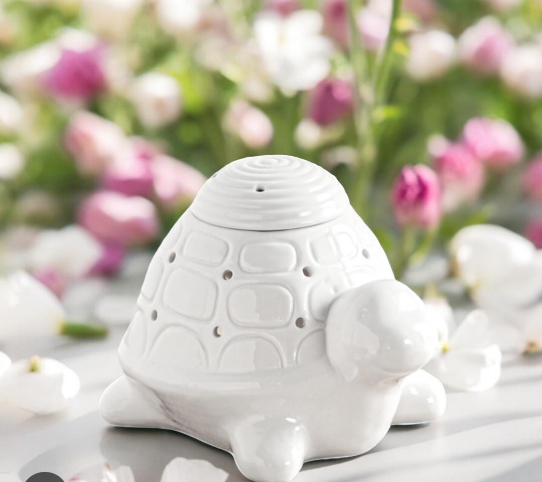 Turtle Diffuser - Etsy
