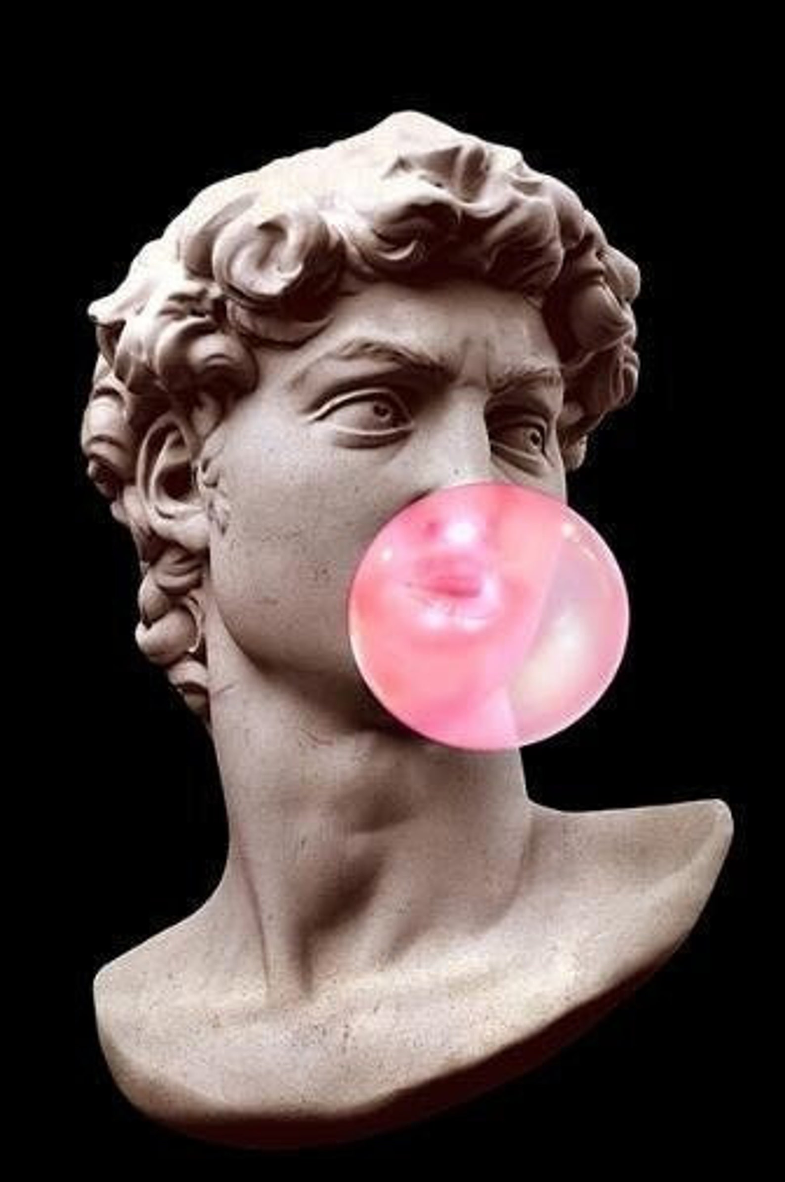 Sculpture of David Canvas Wall Art Nordic Art - Etsy