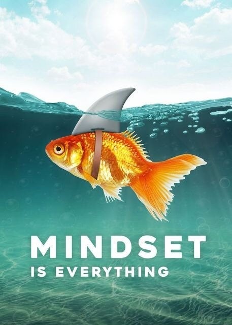 Mindset is Everything , Motivational Poster Mindset Fish Poster ...