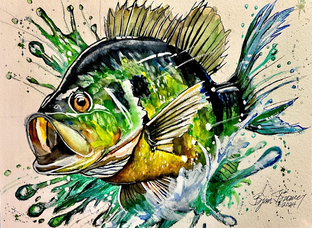 Bluegill Art Print still Waters Signed Watercolor of Fishing Memories ...