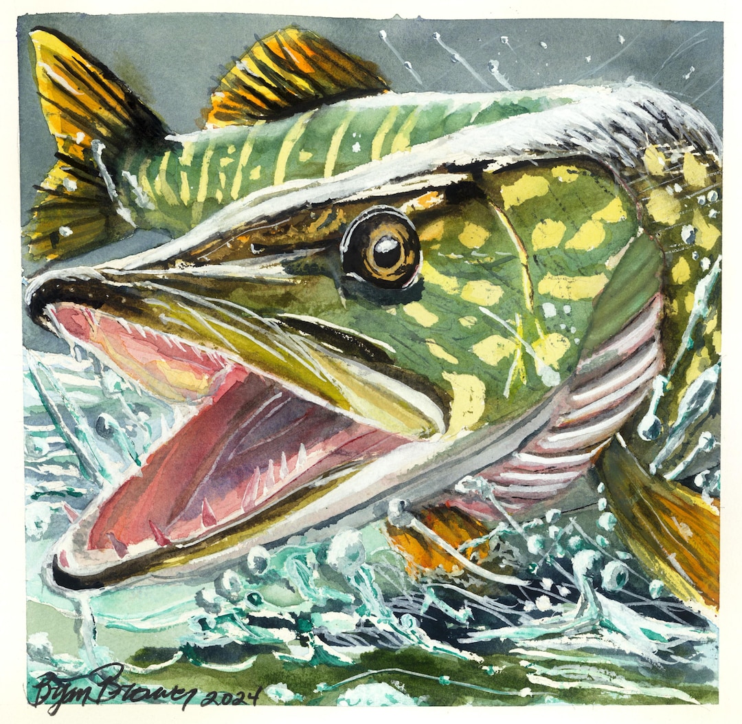 Fury of the Pike Limited Edition Watercolor Fish Print 1 of 100 ...