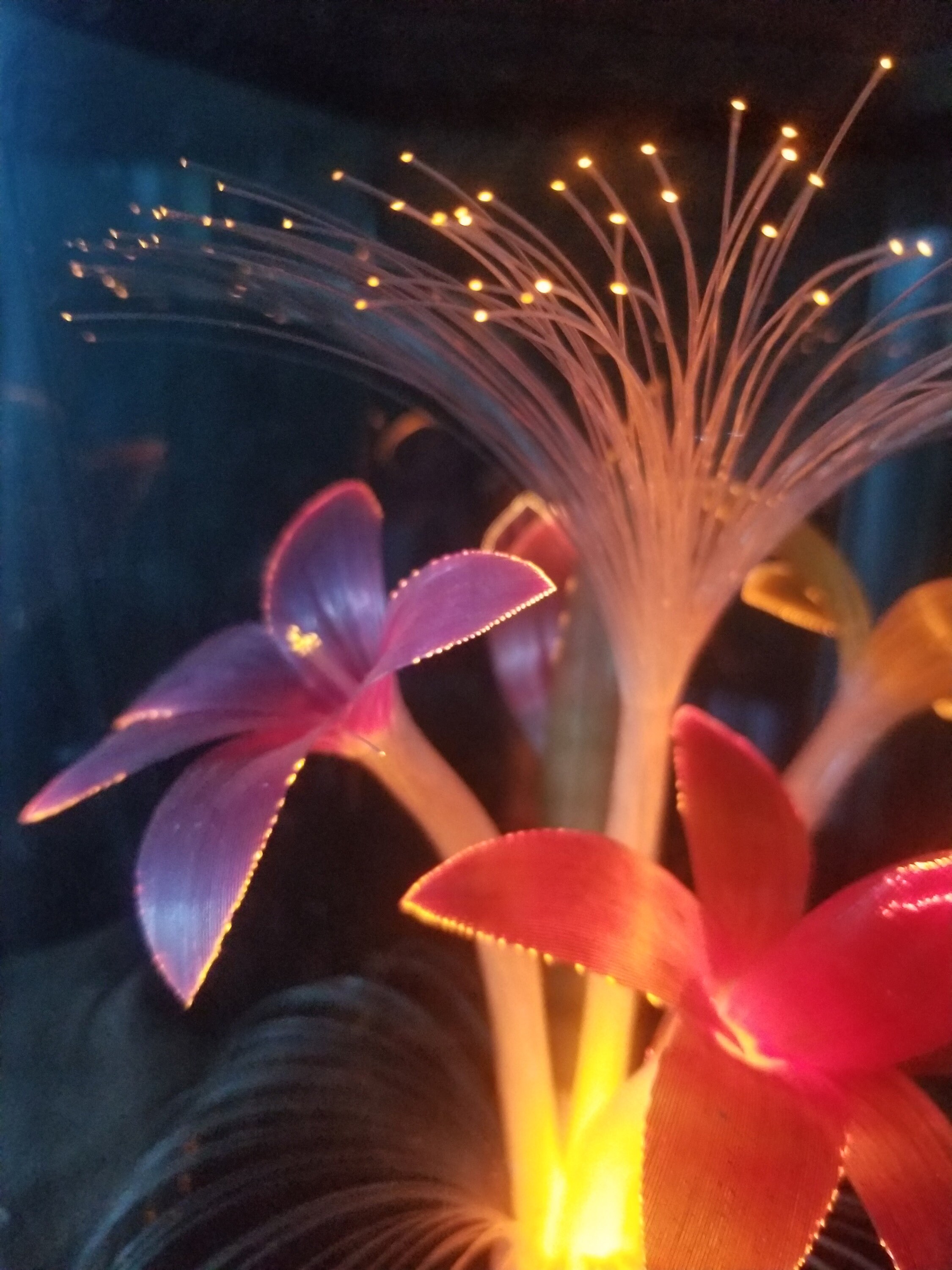 Vtg Fiber Optic Flower Lamp Special Lower Price - Etsy