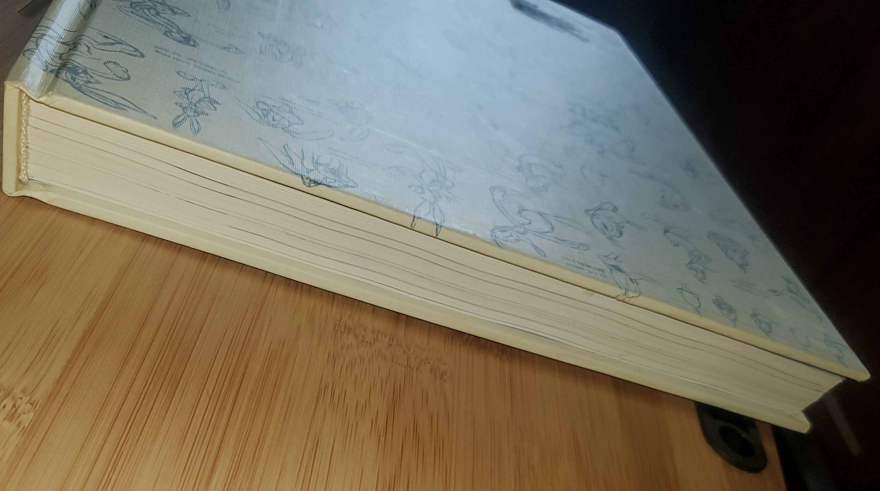 Warner Bros. Animation Art Book - Etsy