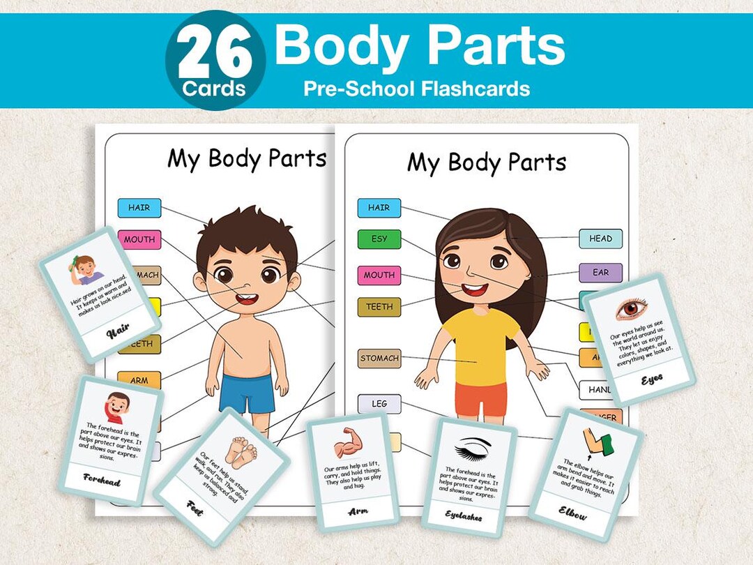 26 Cards Body Parts Flashcards Printable | Montessori Anatomy Busy Book ...