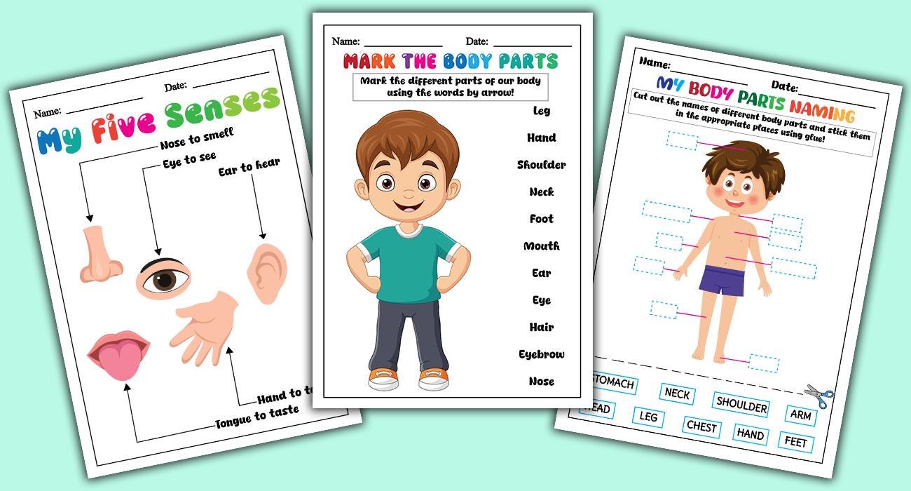 Body Parts Activity Worksheets for Kids 30+ Human Anatomy Matching ...