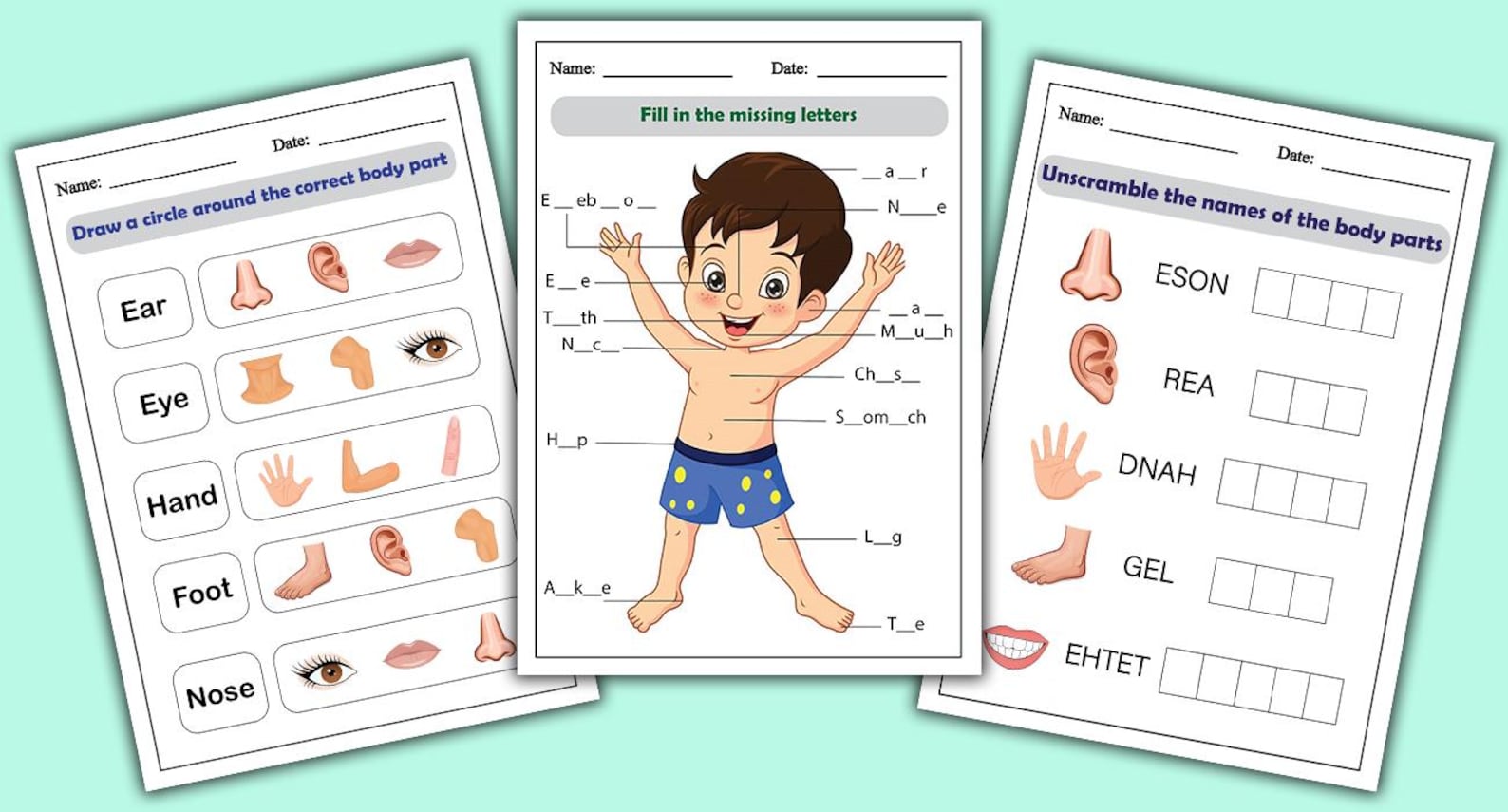 Body Parts Activity Worksheets for Kids 30+ Human Anatomy Matching ...
