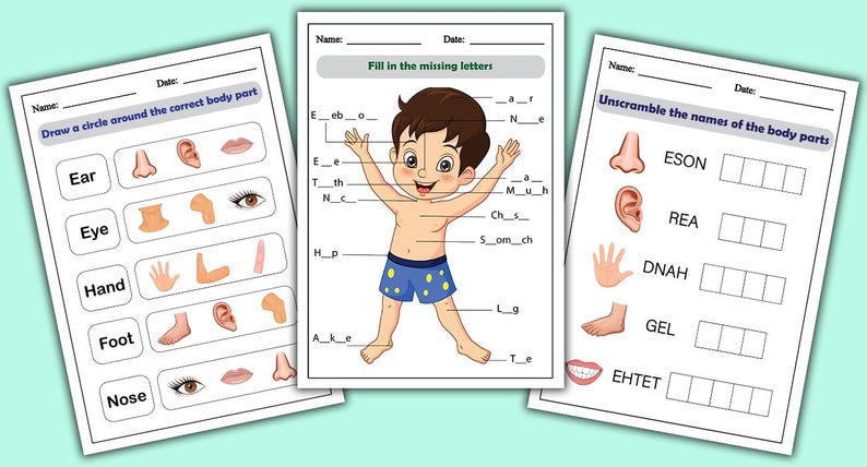 Body Parts Activity Worksheets for Kids 30+ Human Anatomy Matching ...