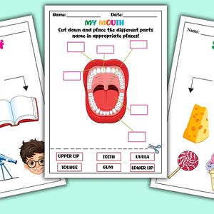 Body Parts Activity Worksheets for Kids 30+ Human Anatomy Matching ...