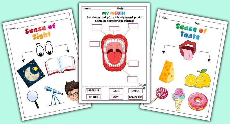 Body Parts Activity Worksheets for Kids 30+ Human Anatomy Matching ...
