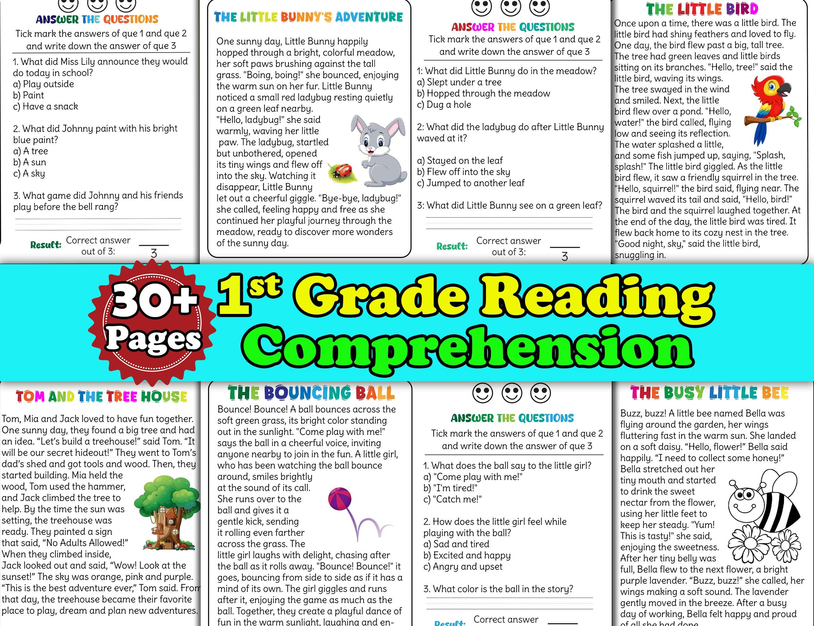 1st Grade Reading Comprehension Worksheets, 31 First Grade Story ...