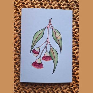 Greeting Card – Gum Blossom Australian Native Flora Botanical ...