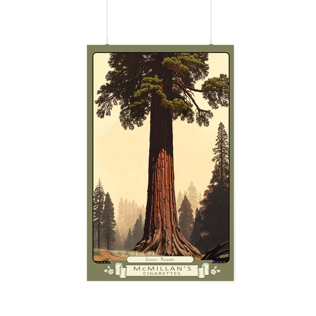 Red Dead Redemption 2 California Redwood Cigarette Card Poster - Etsy