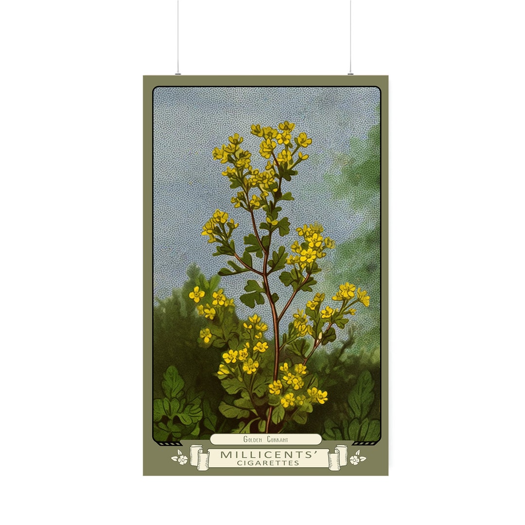 Red Dead Redemption 2 Golden Currant Cigarette Card Poster - Etsy