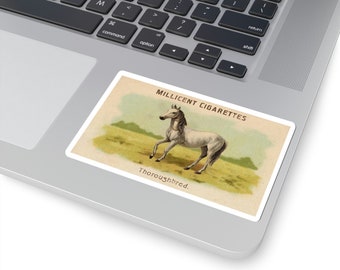 Red Dead Redemption 2 Hummingbird Sage Cigarette Card Sticker - Etsy