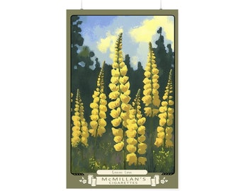 Red Dead Redemption 2 Valentine Cigarette Card Poster - Etsy Australia