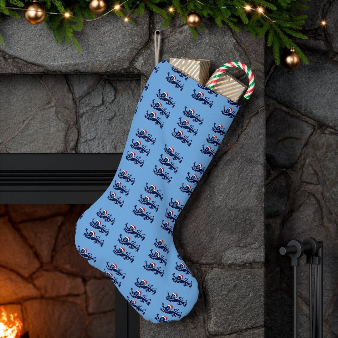 England Football Christmas Stocking 2022 - Etsy