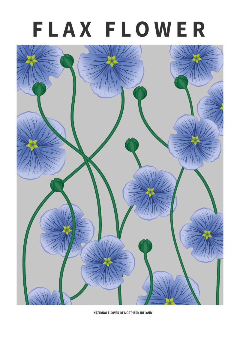 Flax Flower, National Flower of Northern Ireland Art Print, Modern ...