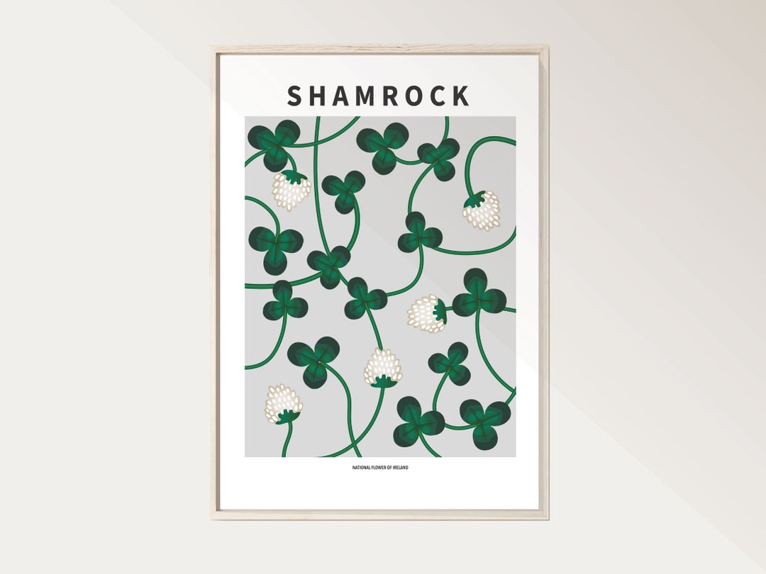 Shamrock, National Flower of Ireland Art Print, Modern Printable Wall ...