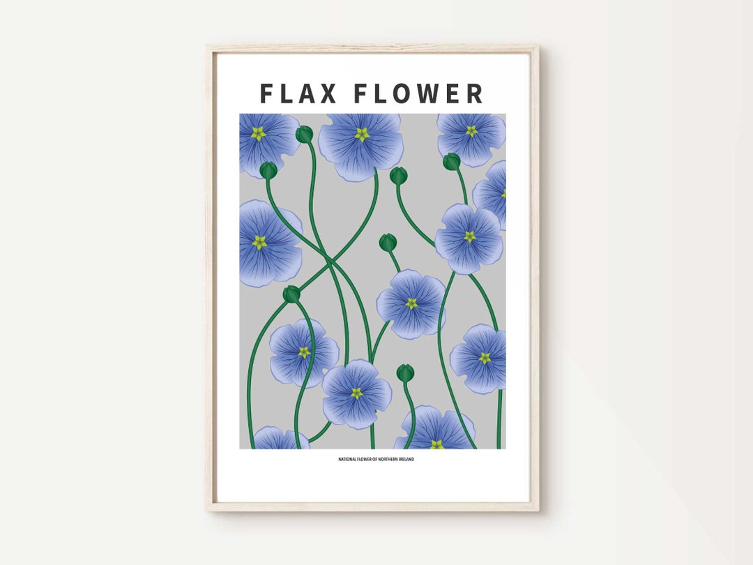 Flax Flower, National Flower of Northern Ireland Art Print, Modern ...