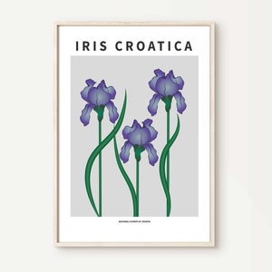 Iris Croatica, National Flower of Croatia Art Print, Modern Printable ...
