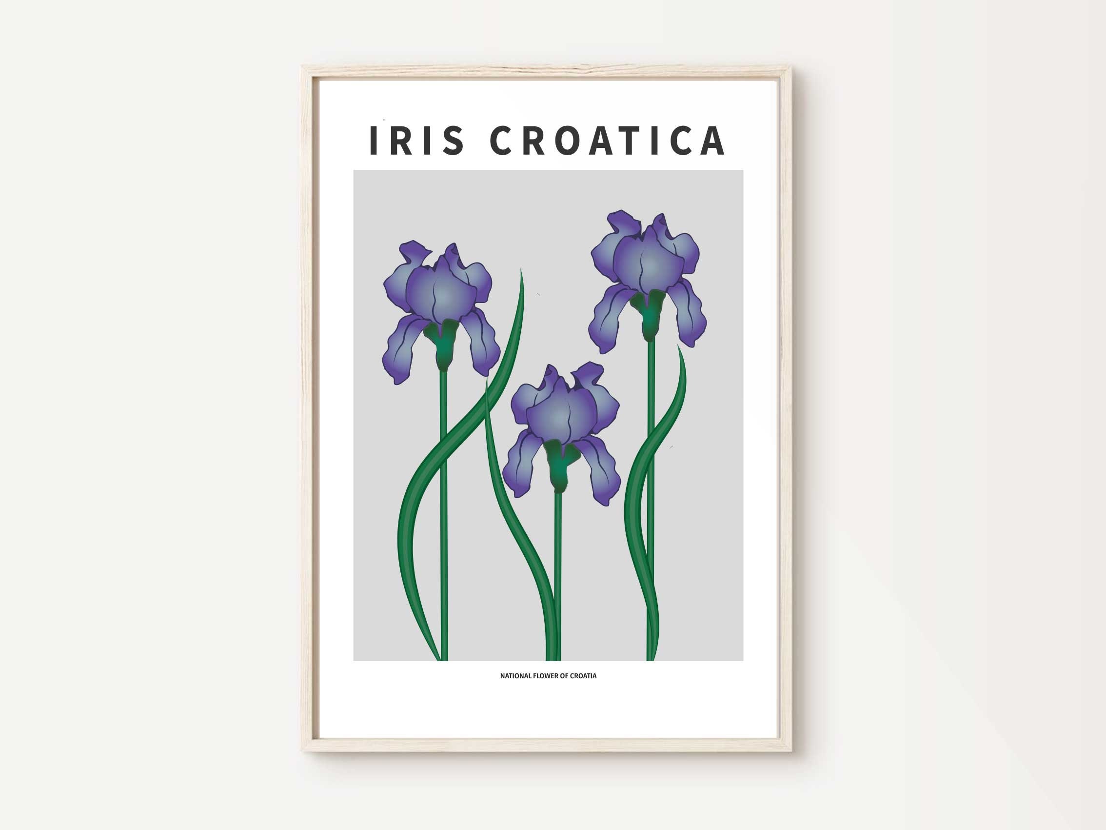 Iris Croatica, National Flower of Croatia Art Print, Modern Printable ...