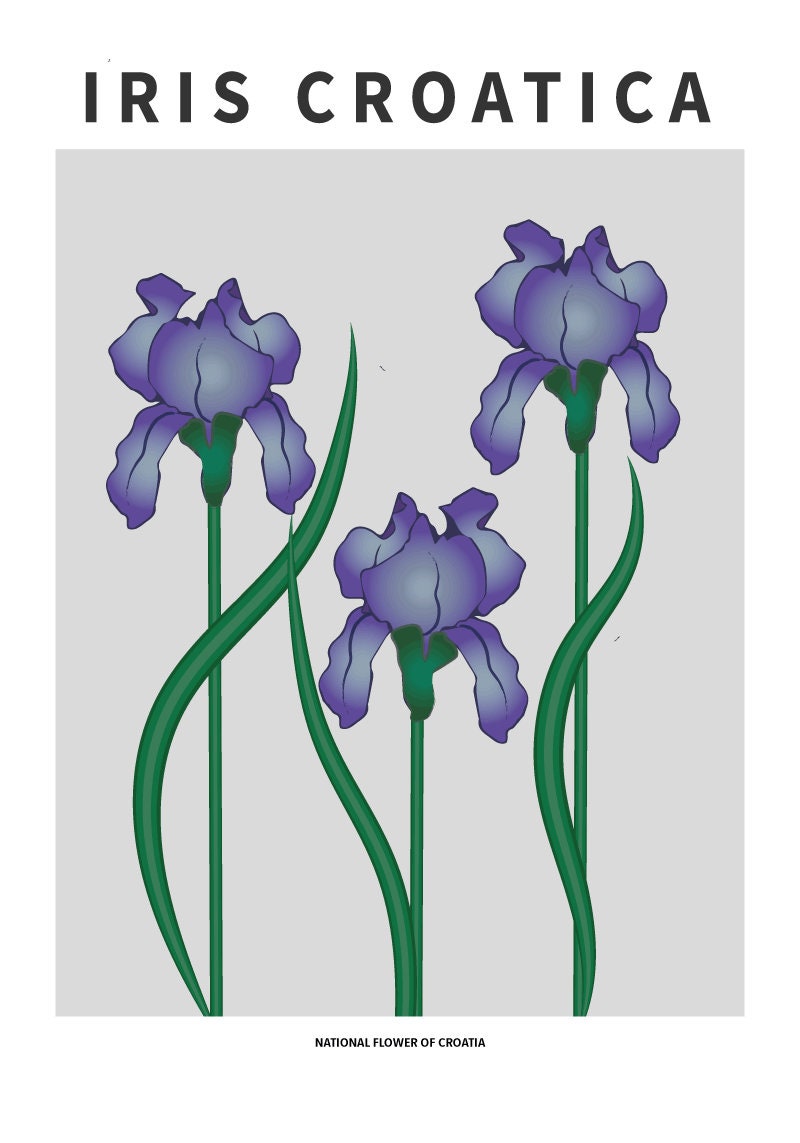 Iris Croatica, National Flower of Croatia Art Print, Modern Printable ...