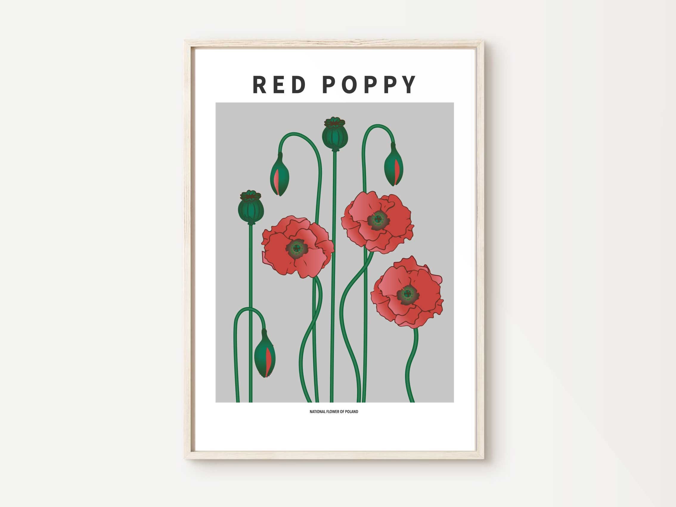 Red Poppy, National Flower of Poland Art Print, Modern Printable Wall ...