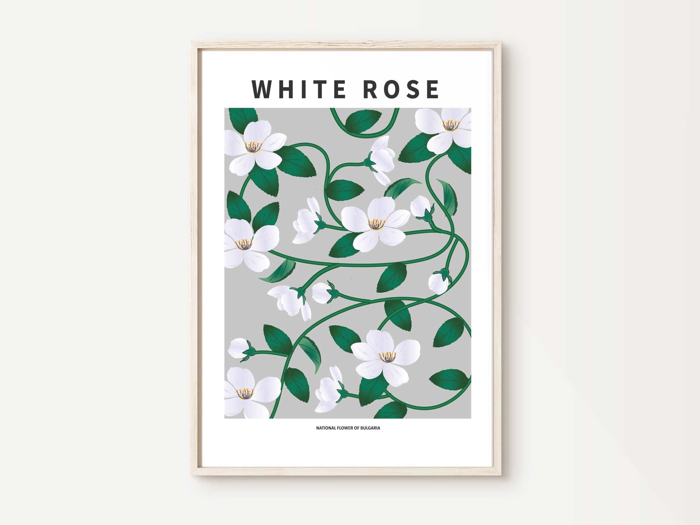 Bulgaria National Flower