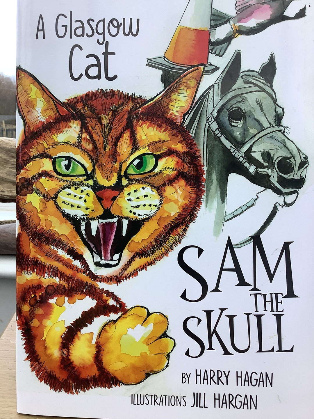 Sam the Skull Childrens Book About a Glasgow Street Cat - Etsy UK