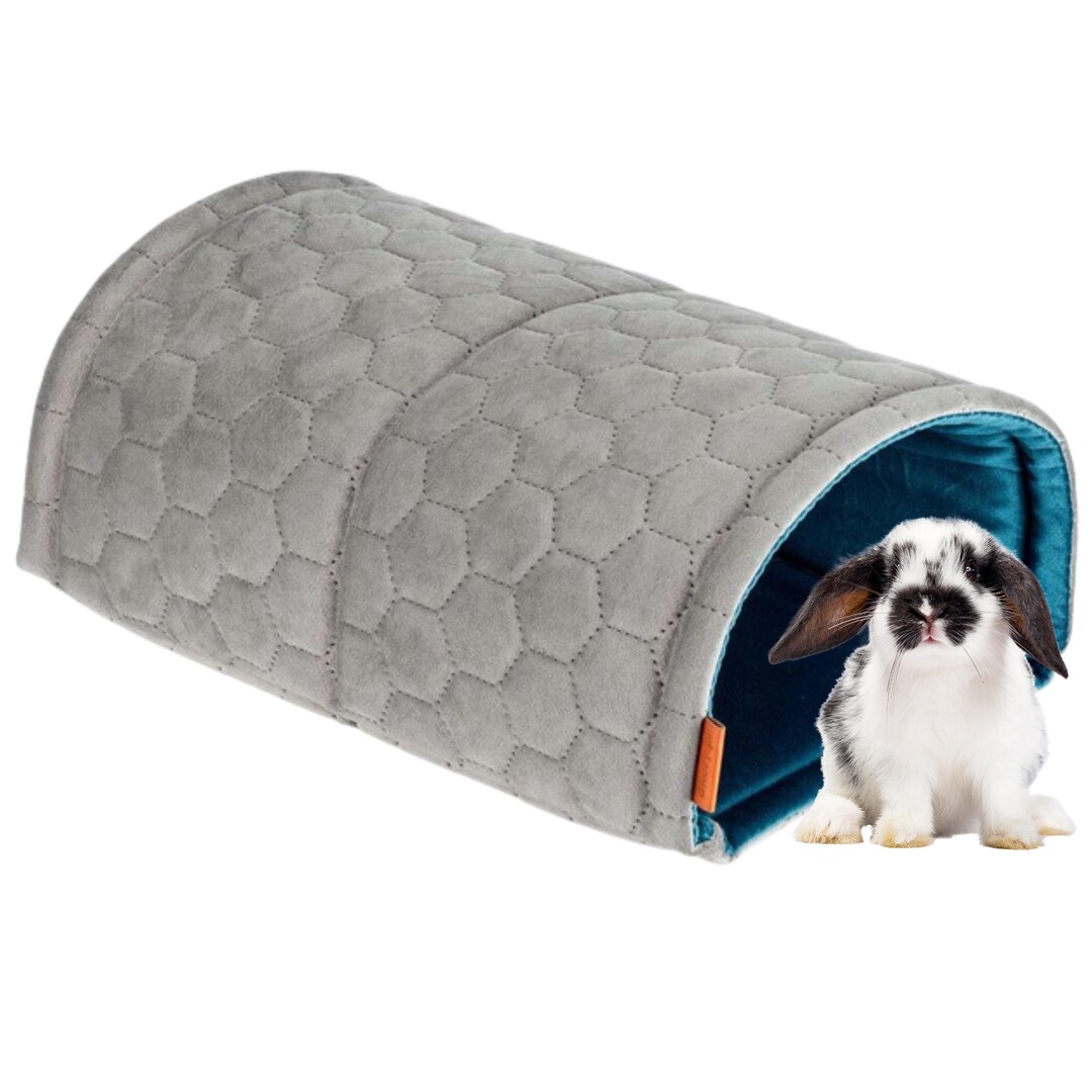 Tunnel Booth for Small Pets, Booth Tunnel for Guinea Pigs, Tunnel for ...
