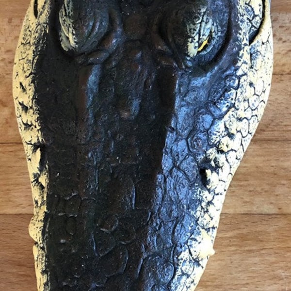 Alligator Heads - Etsy