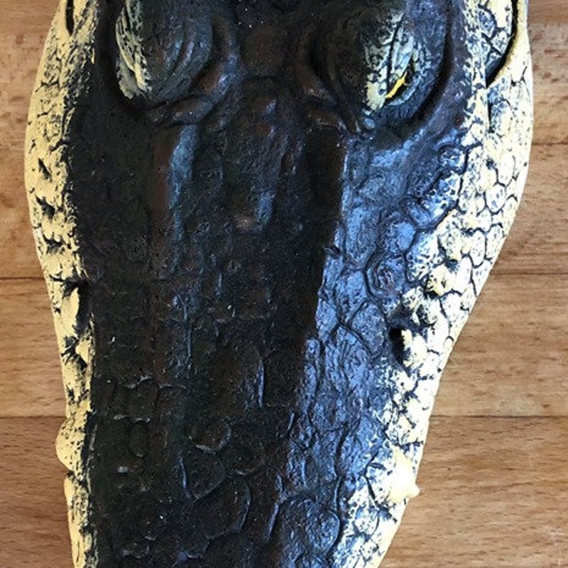 Alligator Heads - Etsy