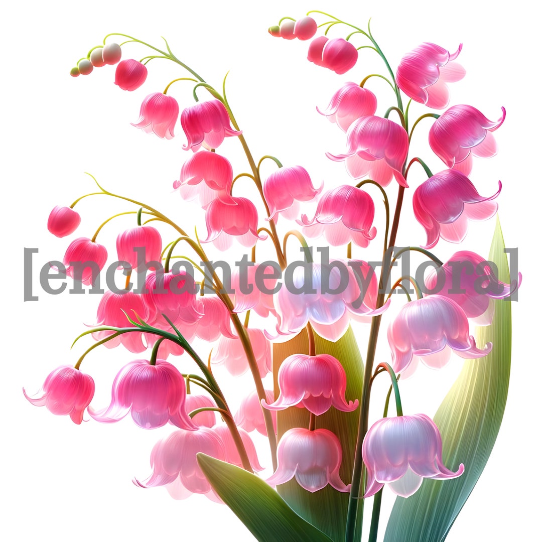 Pretty Pink Lily of the Valley Clipart Set - 10 Pngs, Instant Download ...