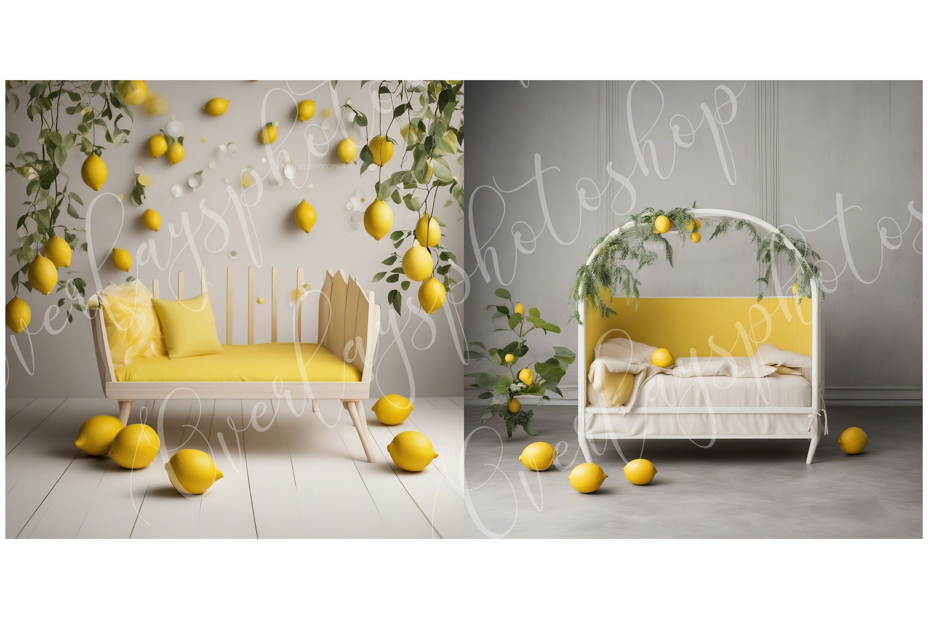 Newborn Digital Backdrop Bundle, Lemon Themed Newborn Digital ...