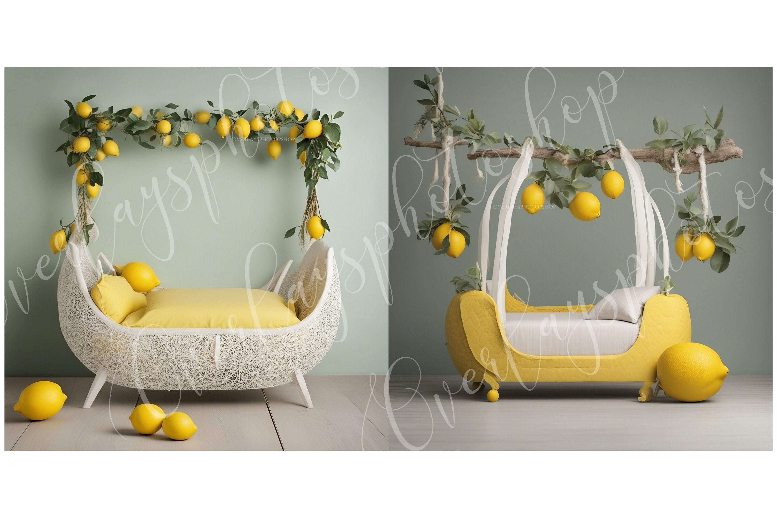 Newborn Digital Backdrop Bundle, Lemon Themed Newborn Digital ...