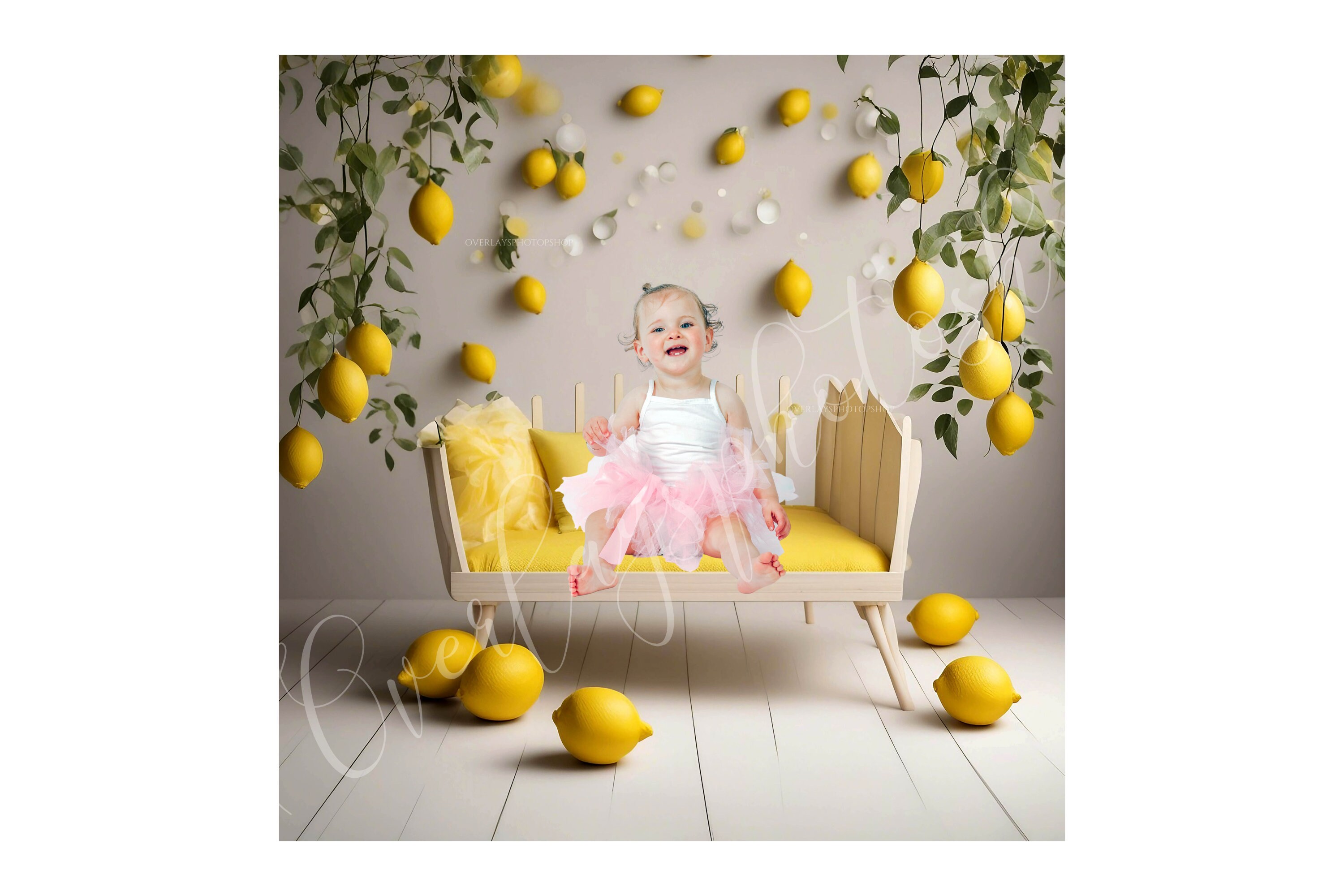 Newborn Digital Backdrop Bundle, Lemon Themed Newborn Digital ...