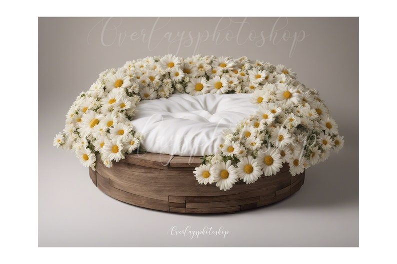 Newborn Digital Backdrop Photography, Baby Daisies Background, Round ...