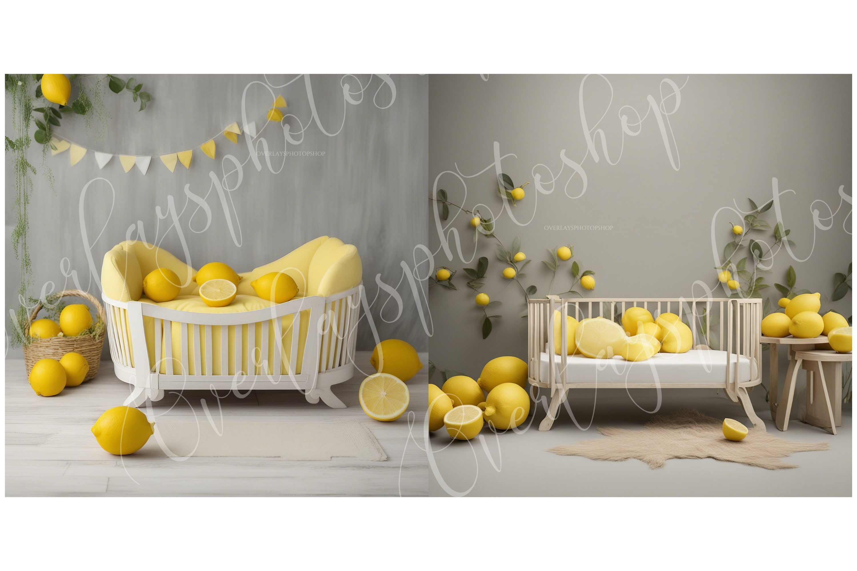 Newborn Digital Backdrop Bundle, Lemon Themed Newborn Digital ...