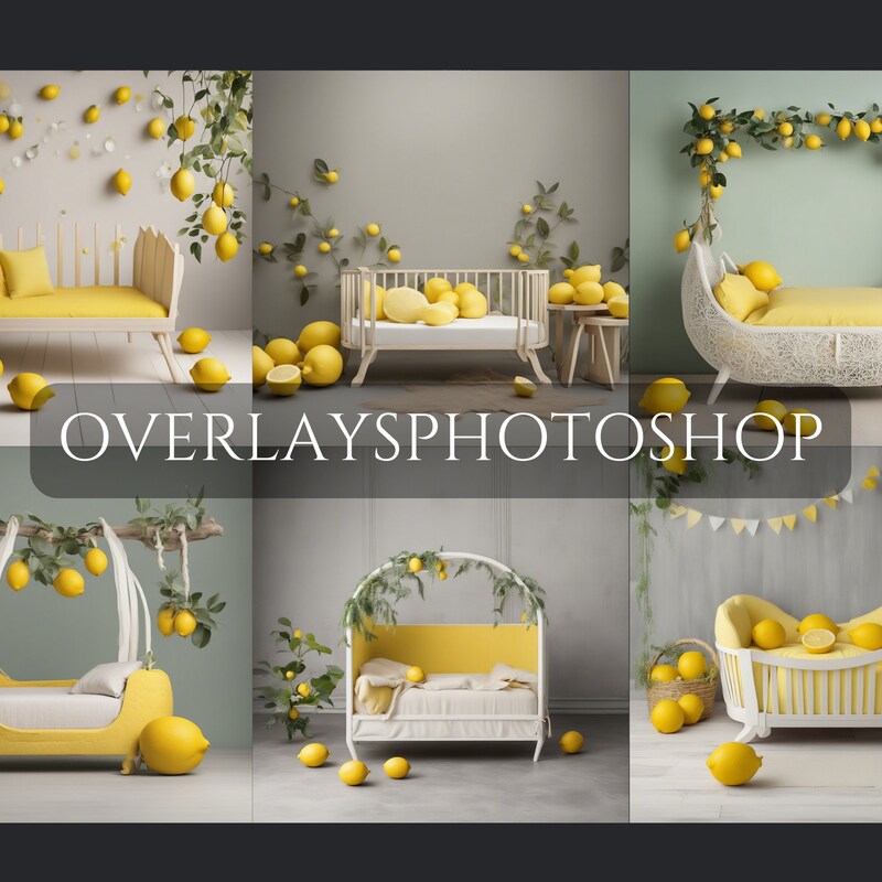 Lemon Backdrop - Etsy