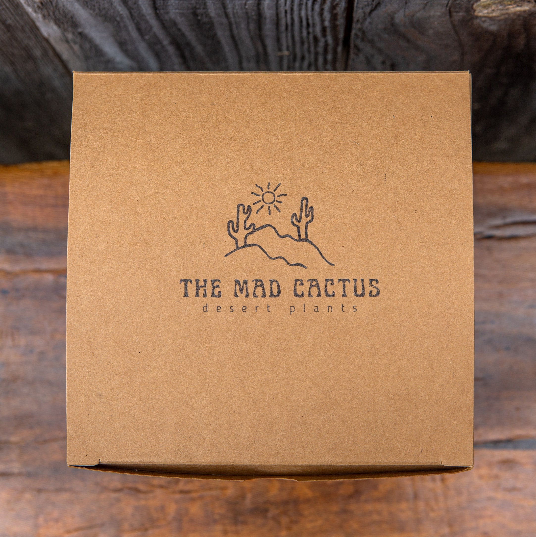 Cactus Gift Box Mother's Day Gift Get Well Soon Gift - Etsy