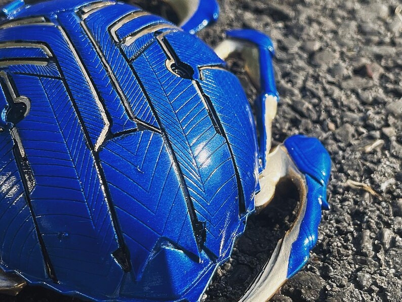 Blue Beetle Scarab - Etsy