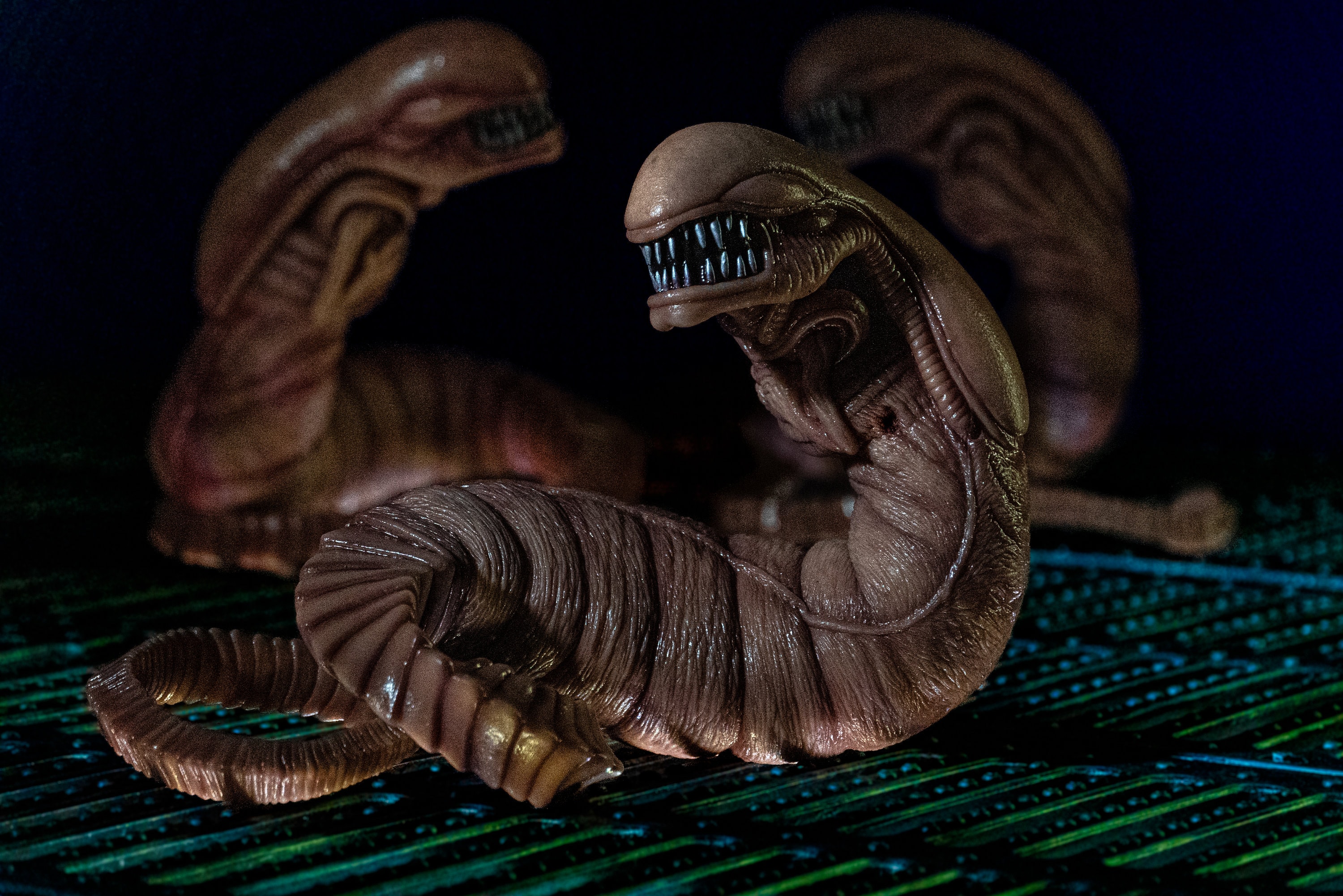 Premium Silicone Alien Chestburster Limited Edition - Etsy