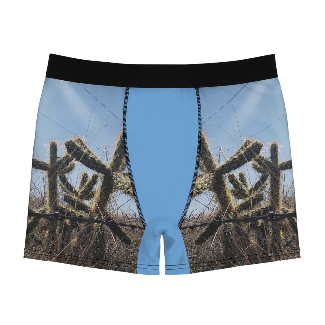 Southwestern Cactus and Wagonwheel Men's Boxer Briefs, Underwear ...