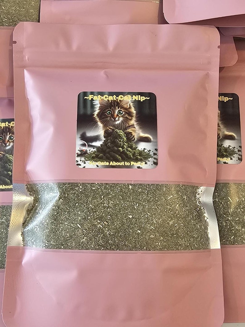 FLASH SALE Catnip! Organically Grown Cat Nip in Washington State, Fresh ...