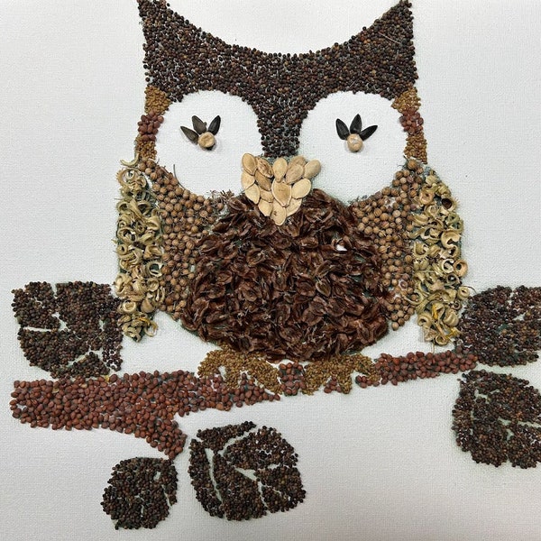 Seed Art - Etsy