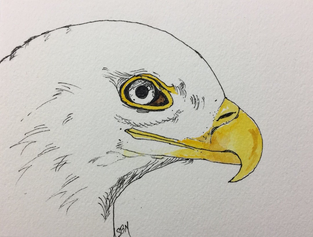 Eagle Cards - Etsy