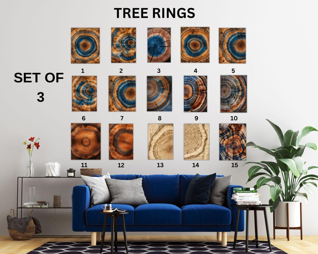 Custom Set of 3 Oak Wood Tree Ring Canvas Wall Art, Choose 3 of From ...